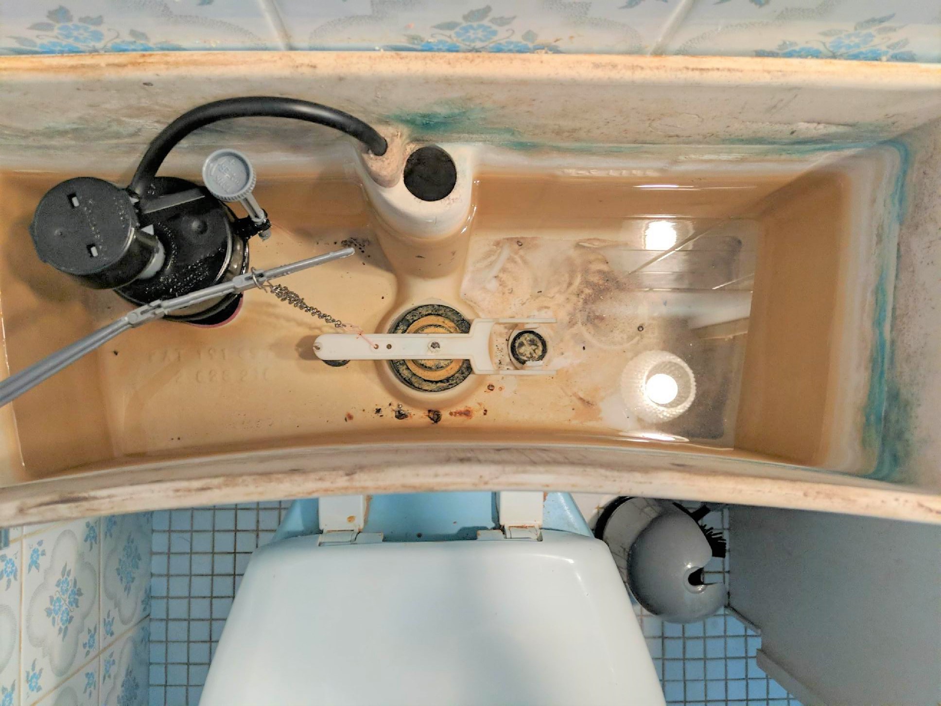 Eljer Touch Flush Assembly | Noels Plumbing Supply Inc