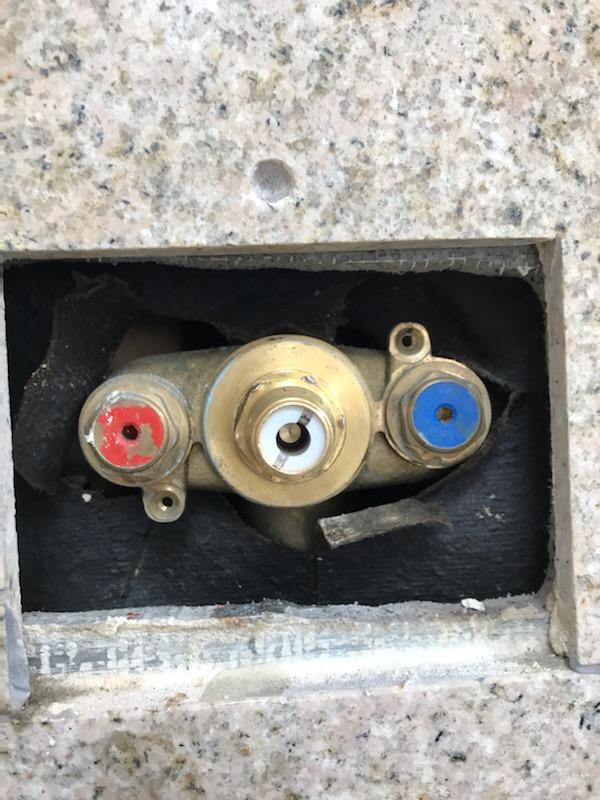 American Standard 954040-0070A Replacement Thermostatic Shower ...