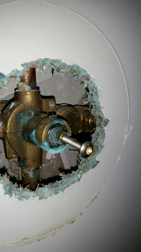 Moen Balancing Spool 1423 | Noel Splumbing Supply